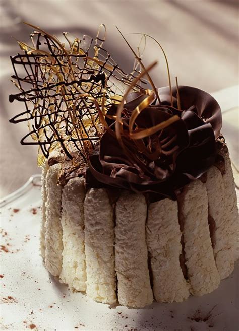 Charlotte Au Chocolat Recette Facile Et Rapide Un Jour Une Recette