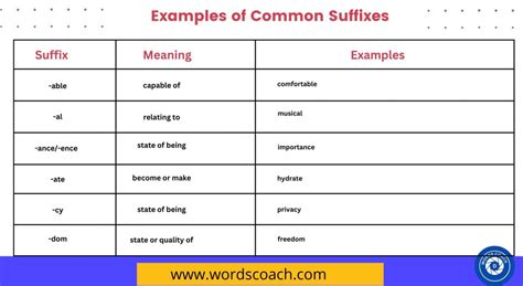 Examples Of Common Suffixes With Meaning Word Coach