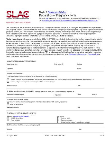 HSE Pregnancy Risk Assessment Form