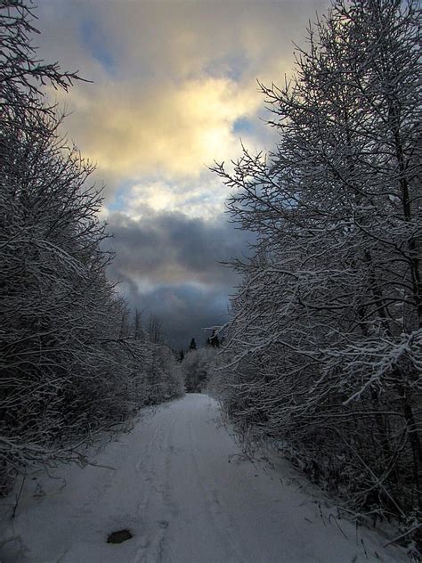 Russia Arkhangelsk Oblast Village Of Potashevka Flickr