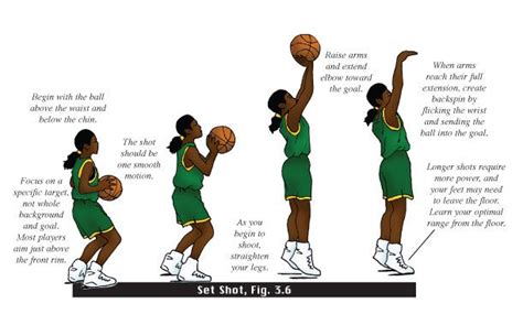 How To Properly Shoot A Basketball Before Shooting A Basketball For
