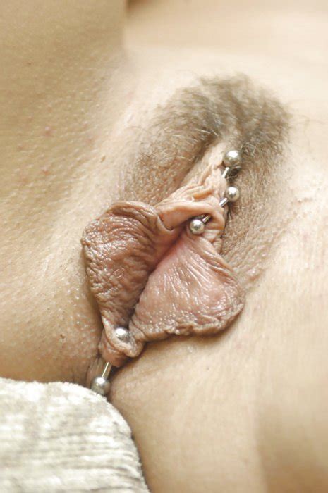 Pierced Cunt Five ZB Porn