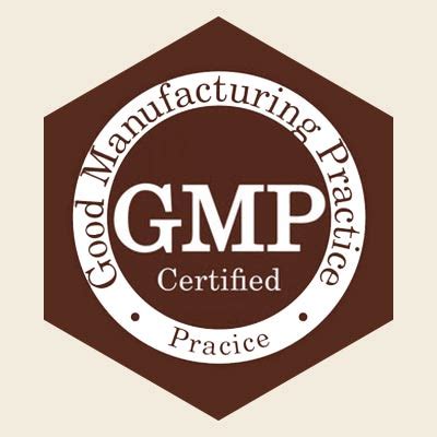 What Is Codex GMP Datatas