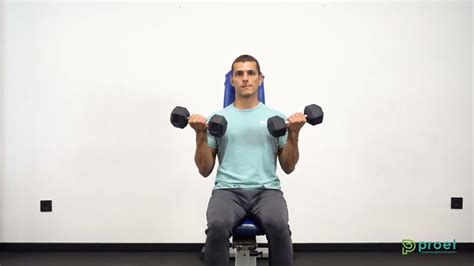 211 Curl Biceps Mancuernas Sentado Con Giro YouTube