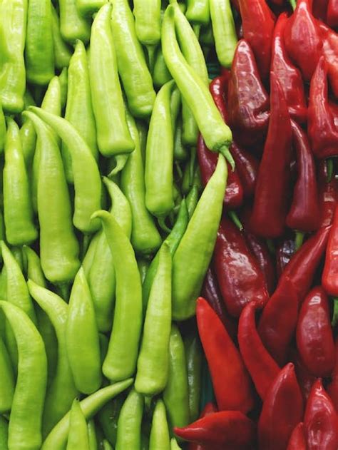 How To Grow Green Chillies At Home