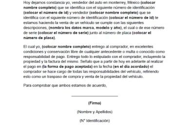 ᐅ Carta Responsiva de Auto Ejemplos en Word y PDF