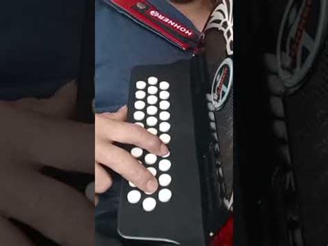 Adorno De Acordeon Para Primera De Sol En Acordeon De Sol YouTube