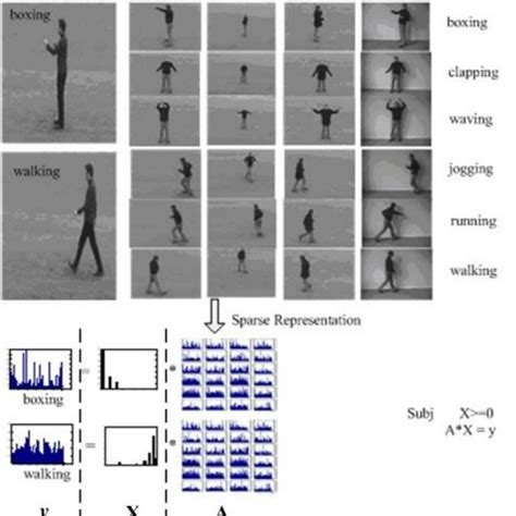 framework of human action recognition via sparse spatiotemporal download scientific diagram