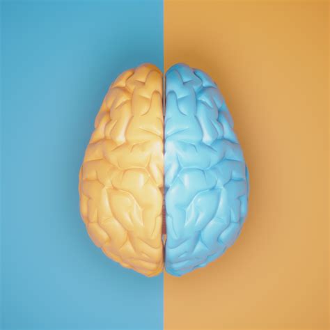 Asimetría cerebral Gradior