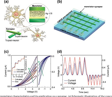 nanoscale memristor device as synapse in neuromorphic systems semantic scholar