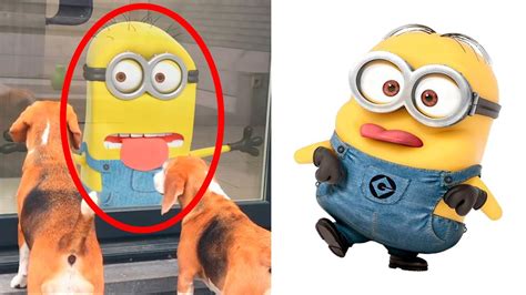 5 Minions Captados En Cámara Y Vistos En La Vida Real YouTube