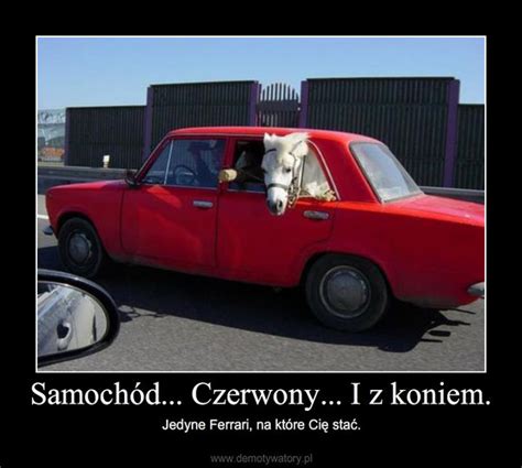 Samochód Czerwony I z koniem Demotywatory pl
