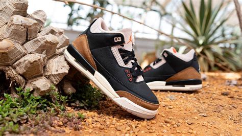Arriba 48 Imagen Fossil Stone 3s Abzlocal Mx