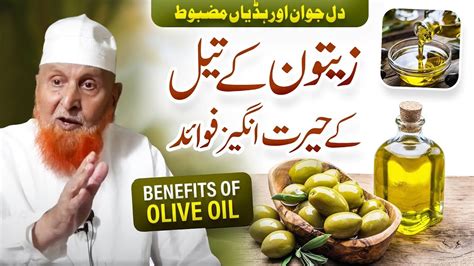 Zaitoon Se Ilaj Maulana Sheikh Makki Al Hijazi Zaitoon Ke Fayde