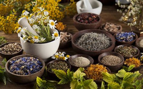 25 banhos de ervas poderosas para atrair proteção e purificação Alto