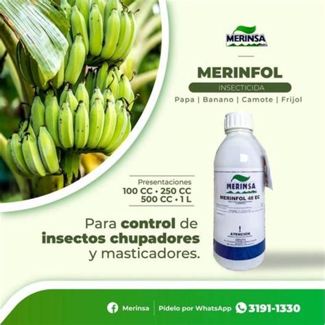 Insecticida Para El Control De Insectos Chupadores Merinsa Agroshow