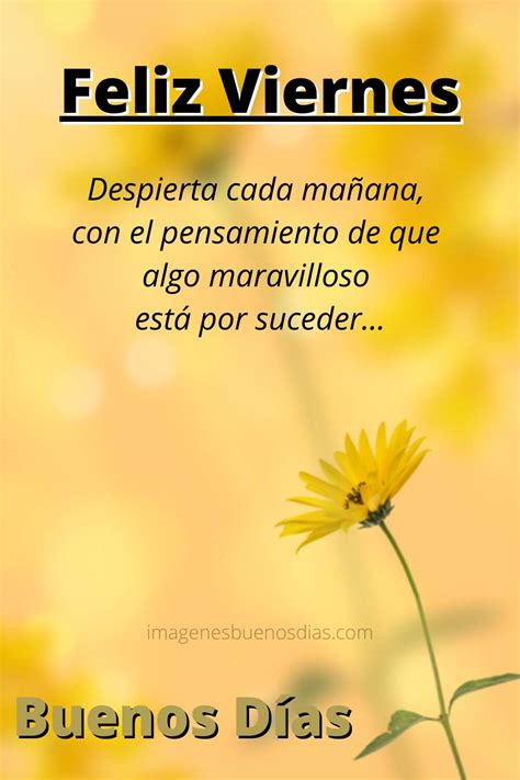 Feliz viernes frases 059 Imágenes Buenos Días