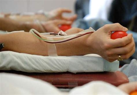 O que é o chamado sangue dourado o tipo sanguíneo mais raro do mundo