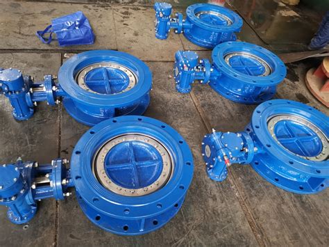 OEM Pn16 Ductile Iron Ggg50 Flanged Gear Operated DN350 Water Double