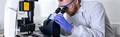 Research Fruk Lab
