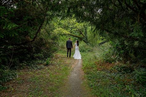 Image Libre Sentier De La For T La Mari E Jeune Mari Arbre Jeune