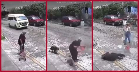 VIDEO Jauría de perros ataca a una mujer en Querétaro