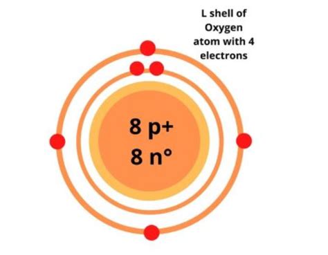 Oxygen Bohr Model Diagram Steps To Draw Techiescientist Techscient