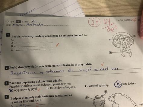 Zadanie 1 Na Jutro Brainly Pl