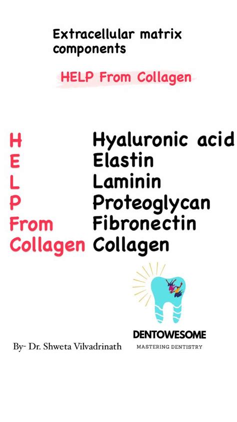 Mnemonic On Extracellular Matrix Components Dentowesome
