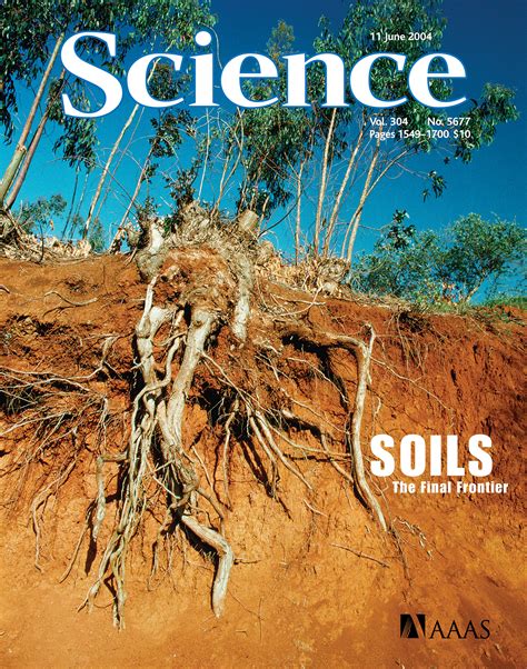 The Secret Life Of Fungi Science