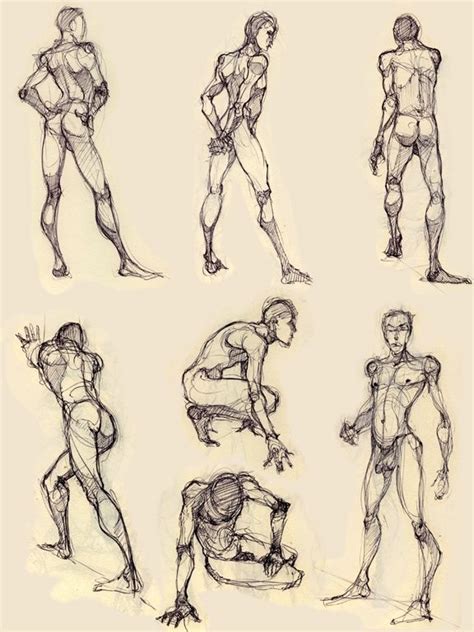 Life Drawing Anatomy Drawing Rjuuc Edu Np