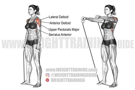 Band Front Raise Exercise Instructions And Video
