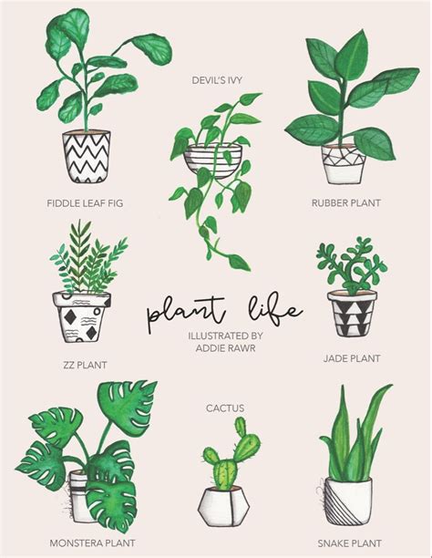 Drawing Leaves How To Draw Step By Step Doodle A Leaf Artofit