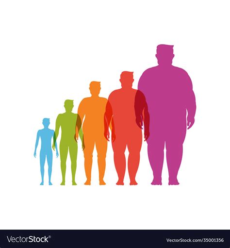 Body Mass Index Royalty Free Vector Image VectorStock