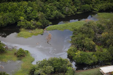 Desmatamento da Amazônia cresceu 56 6 em 3 anos diz Ipam