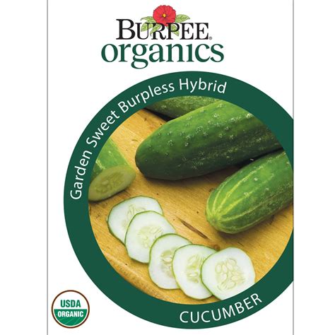 Burpee Organic Garden Sweet Burpless Hybrid Cucumber Vegetable Seed 1