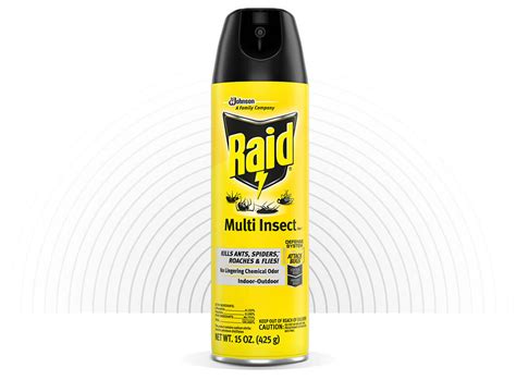 RAID MULTI INSECT KILLER