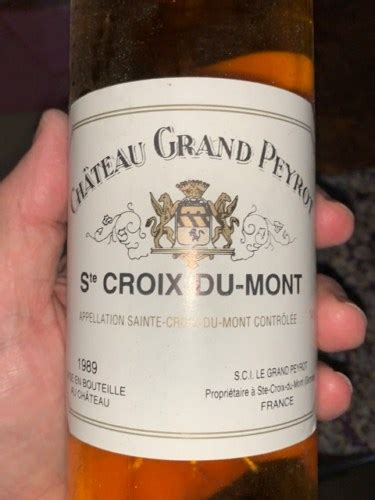Vignoble Tinon Château Grand Peyrot Saint Croix du Mont Vivino US