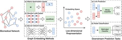 Graph Embedding On Biomedical Networks Methods Applications And
