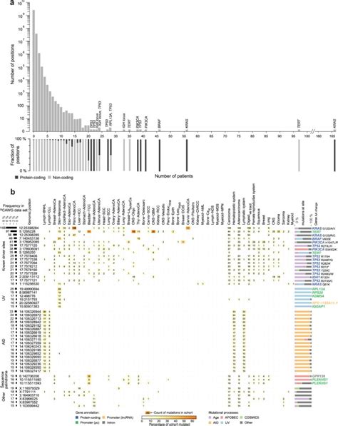 analyses of non coding somatic drivers in 2 658 cancer whole genomes nature