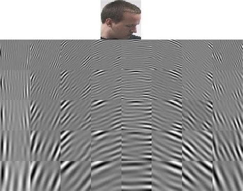 figure 1 from supervised learning for head pose estimation using svd and gabor wavelets