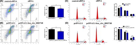 Hsa Circ 0003748 Inhibits Apoptosis And Promotes Cycle Progression In