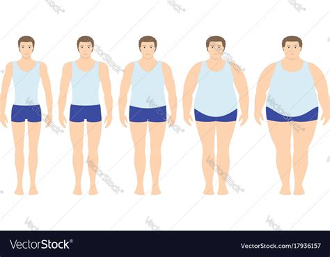 Body Mass Index Underweight To Extremely Obese Vector Image