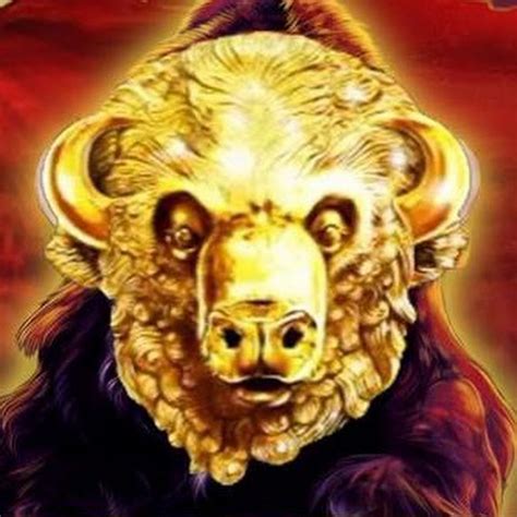 15 Gold Buffalo Heads Hunter YouTube