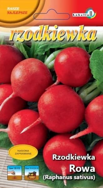 Przedmioty użytkownika cebulki kwiatowe Warzywa Strona 8 Allegro