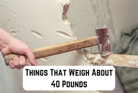 9 Common Things That Weigh 40 Pounds Pics Measuringly