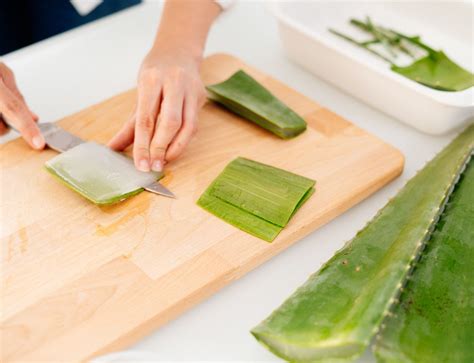 Cómo hacer gel de aloe vera puro casero PequeRecetas