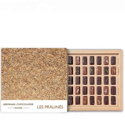 Bertrand Chocolatier Assortiment Chocolat Pralinés Noir et Lait 280g