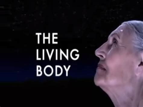 Documental Viaje Al Interior Del Cuerpo Humano Proyecto Simbiosis