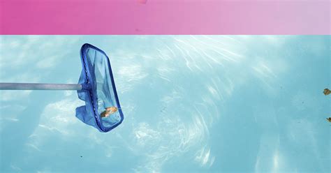 Cómo mantener tu piscina en otoño invierno